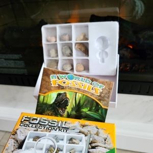 Accents | Fossils Collection Kit Set Of 9 Fossils | Poshmark